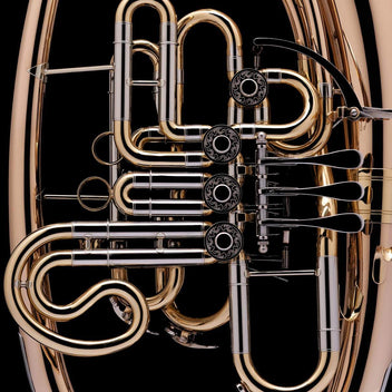 Brass instruments in order of pitch | Blog | Wessex Tubas