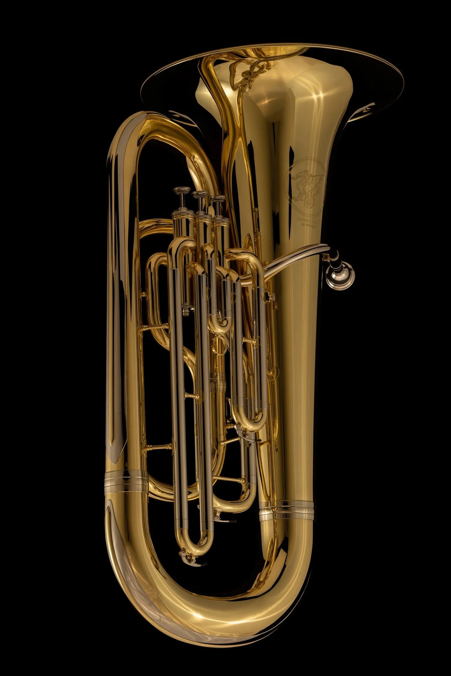 Tips for Choosing Your First Tuba or Euphonium | News & Blog – Tubas Wessex