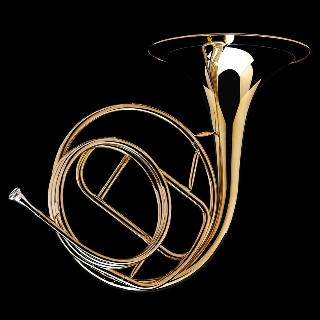 Natural Horn – FH790 – Wessex Tubas