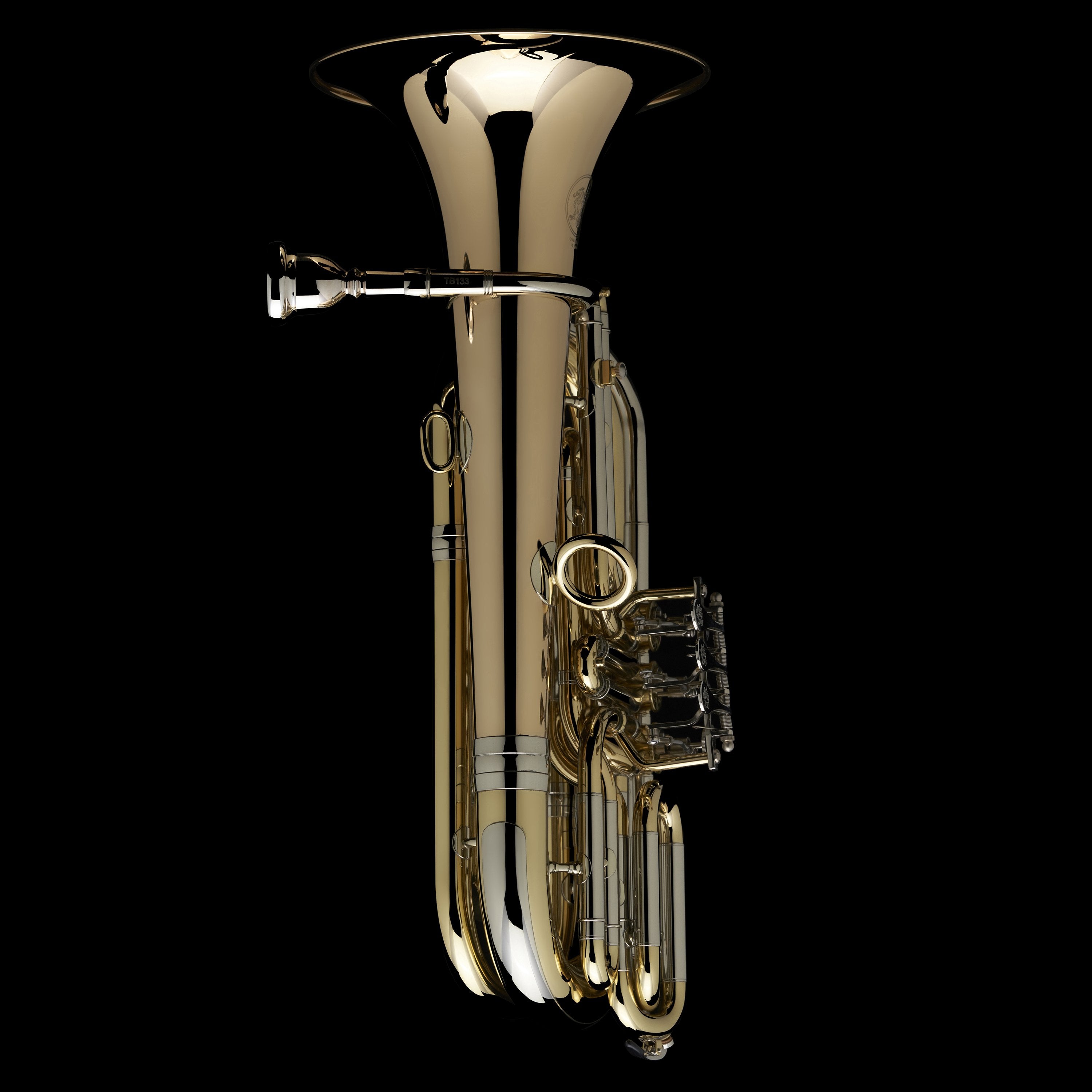Eb Children’s tuba - TE133 – Wessex Tubas